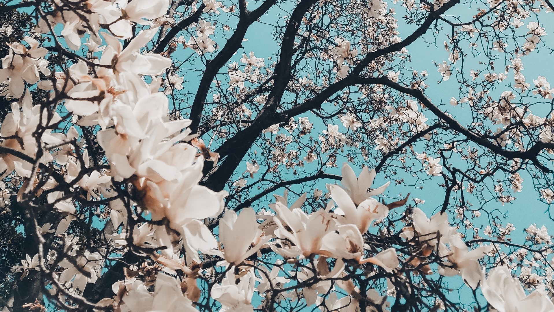 More Spring 2021 CFSEK Grant & Scholarship Recipients Announced ...